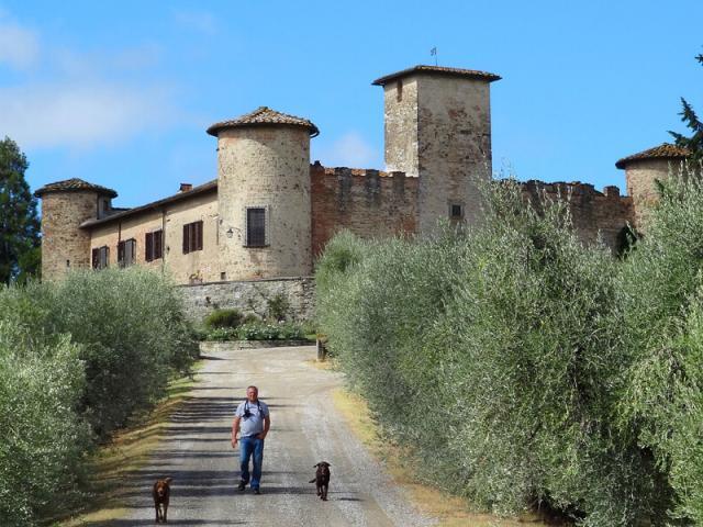 Famous Tuscan Scenery - Scenic Wine Tours in Tuscany